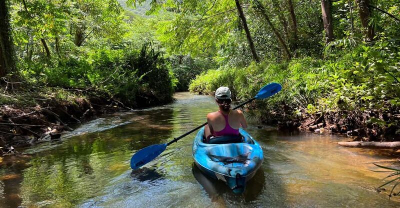 Oahu: Single & Double Kayak 3-Hour River Rental - FAQs