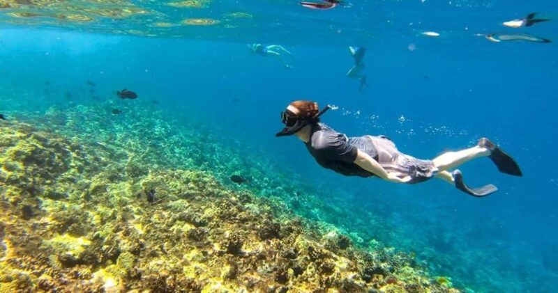 Oahu: Snorkel Adventure in Marine Sanctuary - An In-Depth Look at the Snorkel Adventure
