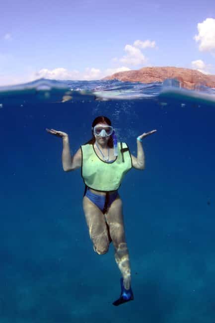 Oahu: Snorkeling & Dolphin Watch Cruise w/ Luau Style Buffet - Key Points