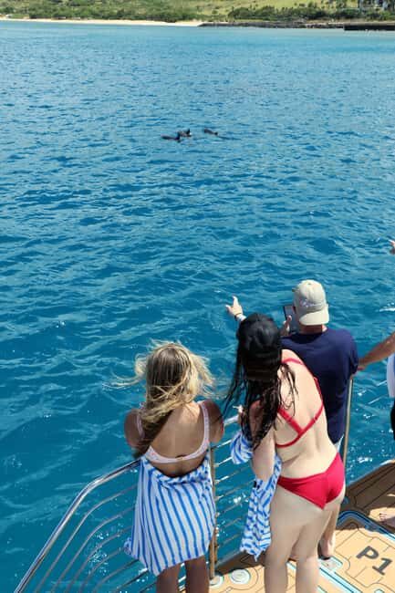 Oahu: Snorkeling & Dolphin Watch Cruise w/ Luau Style Buffet - Practical Details and Tips