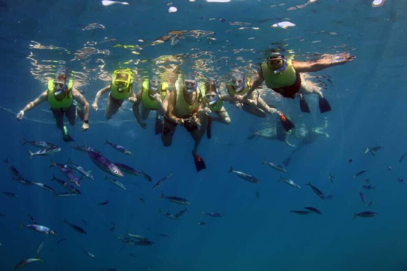 Oahu: Snorkeling & Dolphin Watch Cruise w/ Luau Style Buffet - Who Will Love This Tour?