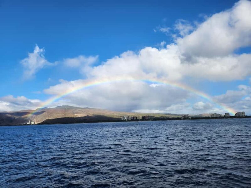 Oahu: Snorkeling & Dolphin Watch Cruise w/ Luau Style Buffet - The Sum Up