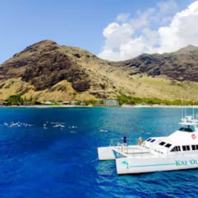 Oahu: Snorkeling & Dolphin Watch Cruise with Hawaiian Buffet - Key Points