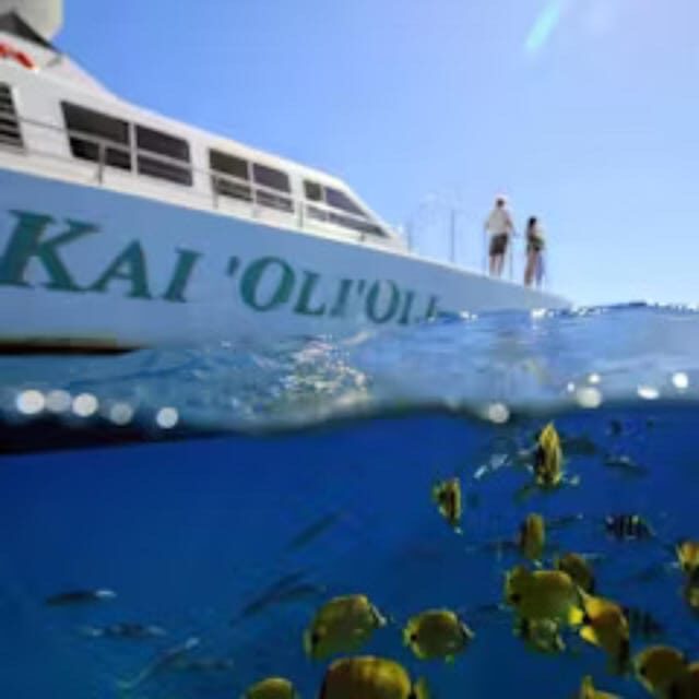 Oahu: Snorkeling & Dolphin Watch Cruise with Hawaiian Buffet - An In-Depth Look at the Tour Experience