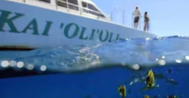 Oahu: Snorkeling & Dolphin Watch Cruise with Hawaiian Buffet - Who Should Book This Tour?
