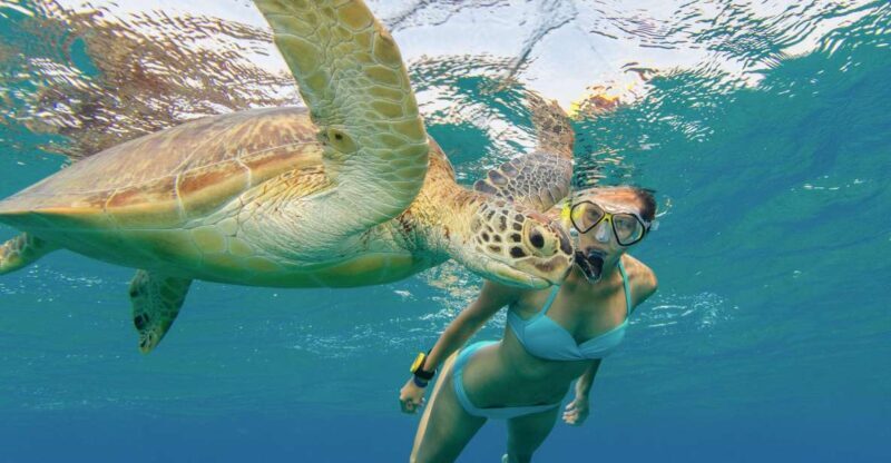 Oahu Snorkeling with Turtles, Water Scooter, Paddleboard - Practical Tips for Participants