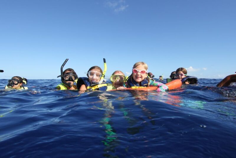 Oahu: Speedboat Snorkeling Adventure and Wild Dolphin Swim - Setting the Scene: What to Expect from This Speedboat Adventure