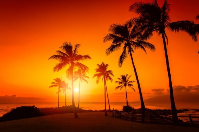 Oahu: Sunset Cruise of West Oahu with Drinks and Appetizers - Authentic Experiences and Top Highlights