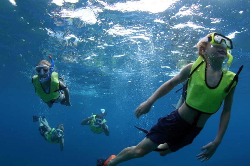 Oahu: Sunset Snorkeling, Dolphin Watch Cruise, Hawaiian meal - Key Points
