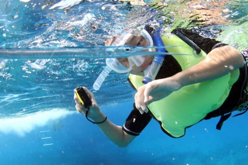 Oahu: Sunset Snorkeling, Dolphin Watch Cruise, Hawaiian meal - The Sum Up