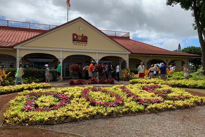 Oahu Tour - Pearl Harbor, Dole Pineapple & Oahu Tour - Scenic Stops and Natural Highlights
