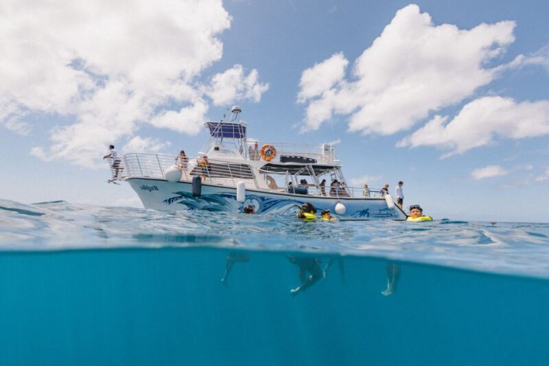 Oahu: Turtle Canyon Snorkeling & Hula Dance - A Natural and Cultural Adventure on the Water