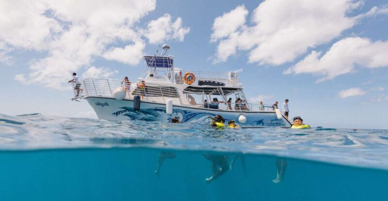 Oahu: Turtle Canyon Snorkeling & Hula Dance - The Value of This Experience