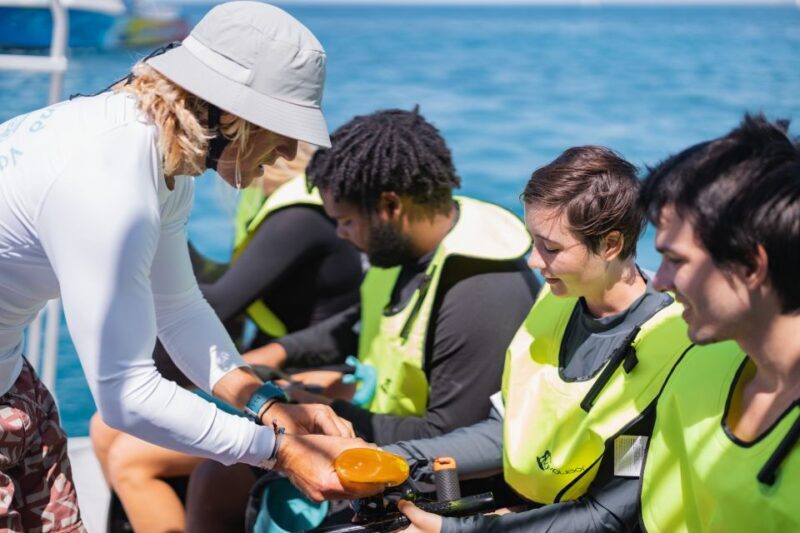 Oahu: Turtle Canyon Snorkeling & Hula Dance - FAQs