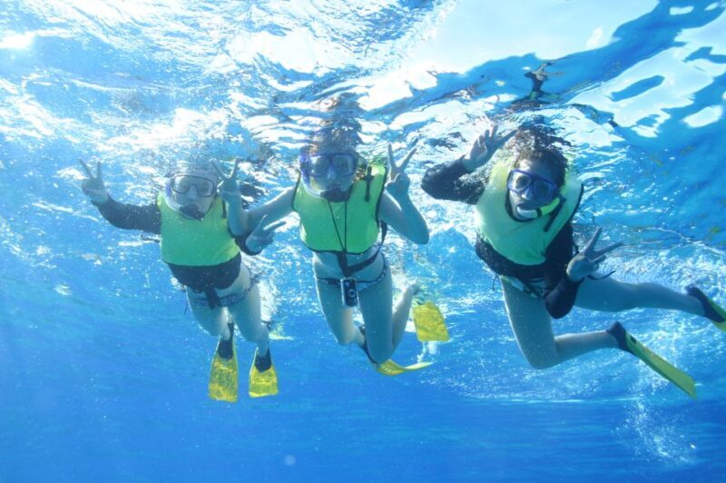 Oahu: Turtle Canyon Snorkeling & Hula Show - The Experience in Perspective