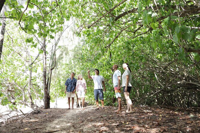 Oahu Uncovered: Full Island Tour with a Local Guide - Logistics and Value for Money