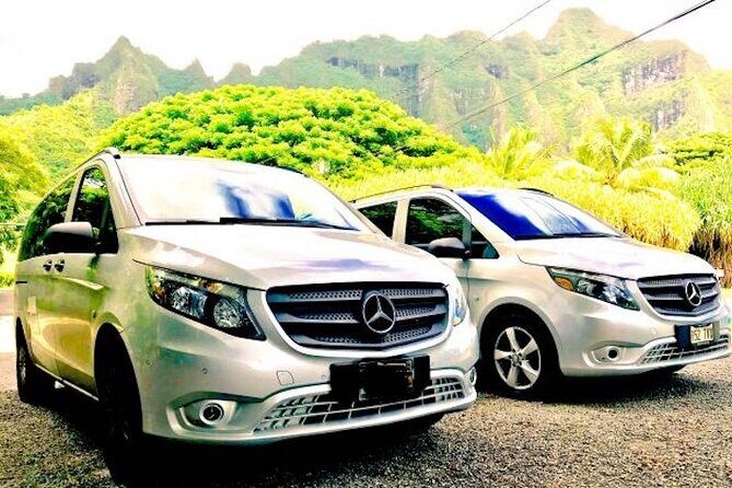 Oahu Unveiled: Tailored Luxury Private Island Tour - Who This Tour Is Best For