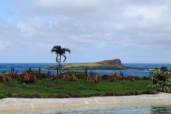 OAHU VOLCANO AND BEACHES - Tour in Spanish - Who Should Consider This Tour?