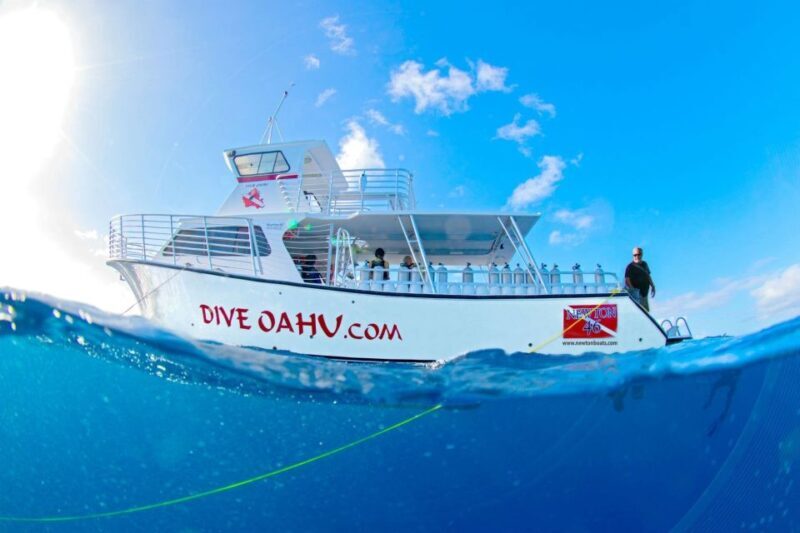 Oahu: Waikiki Discovery Scuba Diving for Beginners - Value for Money