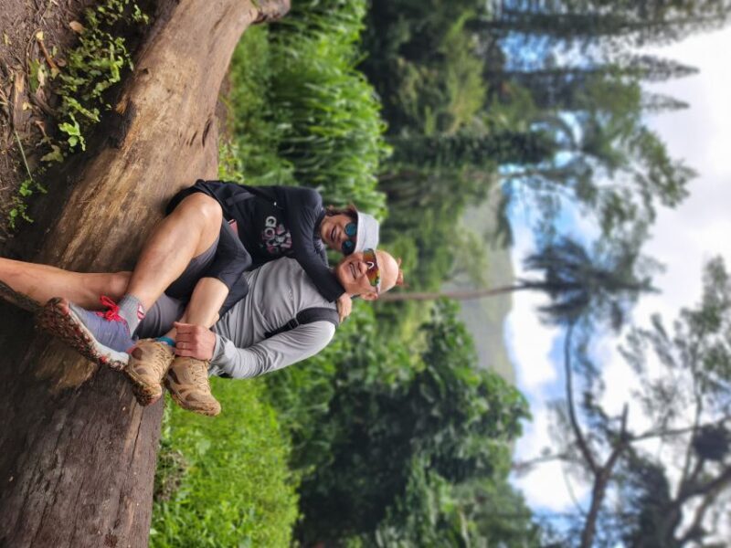 Oahu: Waikiki E-Bike Ride and Manoa Falls Hike - Practical Tips for Participants