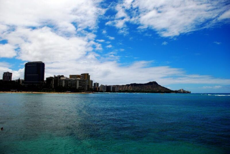 Oahu: Waikiki Eco-Friendly Afternoon Whale Watching Trip - A Practical Guide to the Waikiki Whale Watching Experience