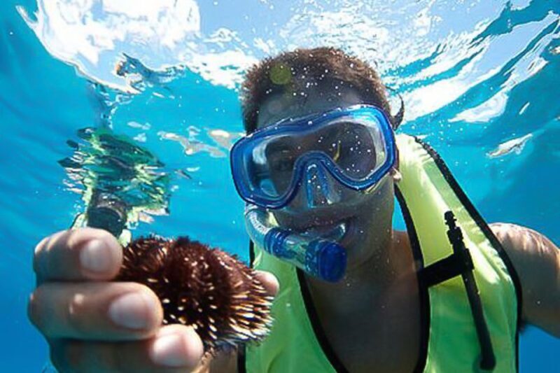 Oahu: Waikiki Snorkel and Sailing Trip with Lunch - Who Will Love This Trip?