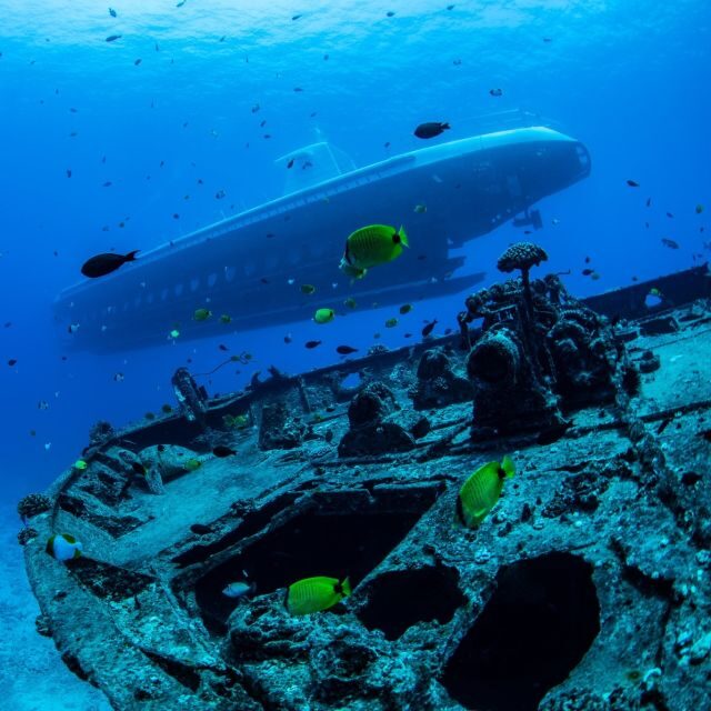 Oahu: Waikiki Submarine Tour - Who Should Consider This Tour?