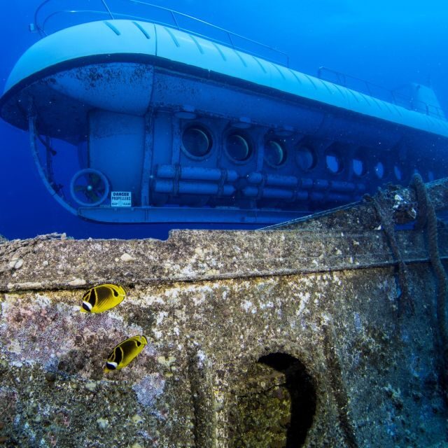 Oahu: Waikiki Submarine Tour - FAQs