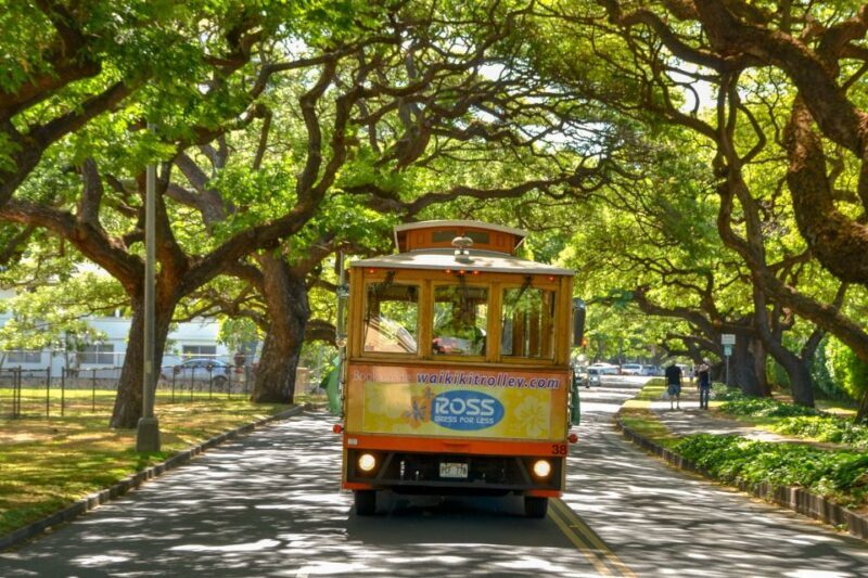Oahu: Waikiki Trolley Hop-on Hop-off All-Line Pass - Accessibility and Practical Details