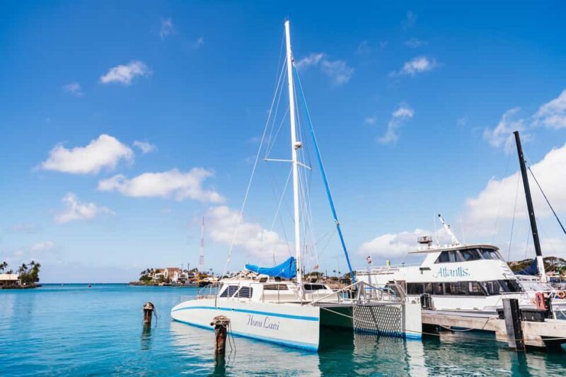 Oahu: Waikiki Turtle Snorkel Sail - Key Points