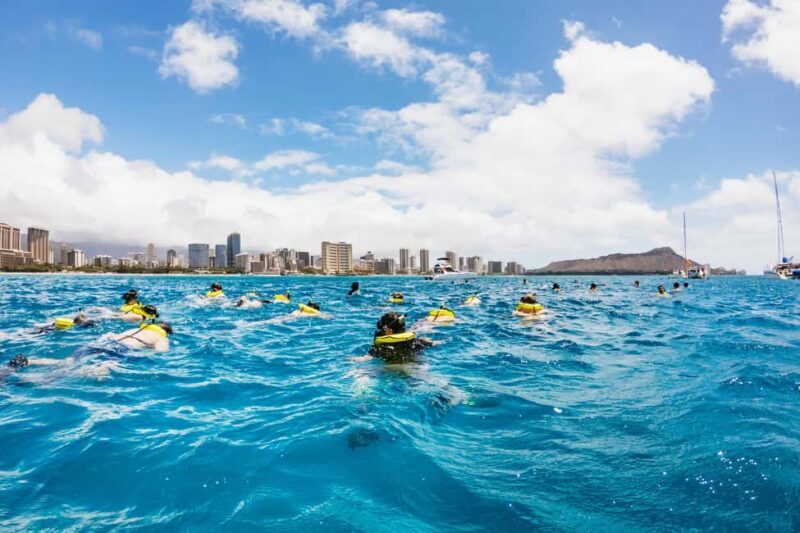 Oahu: Waikiki Turtle Snorkel Sail - Who Is This Tour Best For?