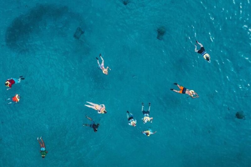 Oahu: Waikiki Turtle Snorkeling Adventure Cruise - An Honest Breakdown of the Experience