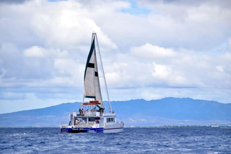 Oahu: Waikiki Whale Watching Cruise - The Experience Overview
