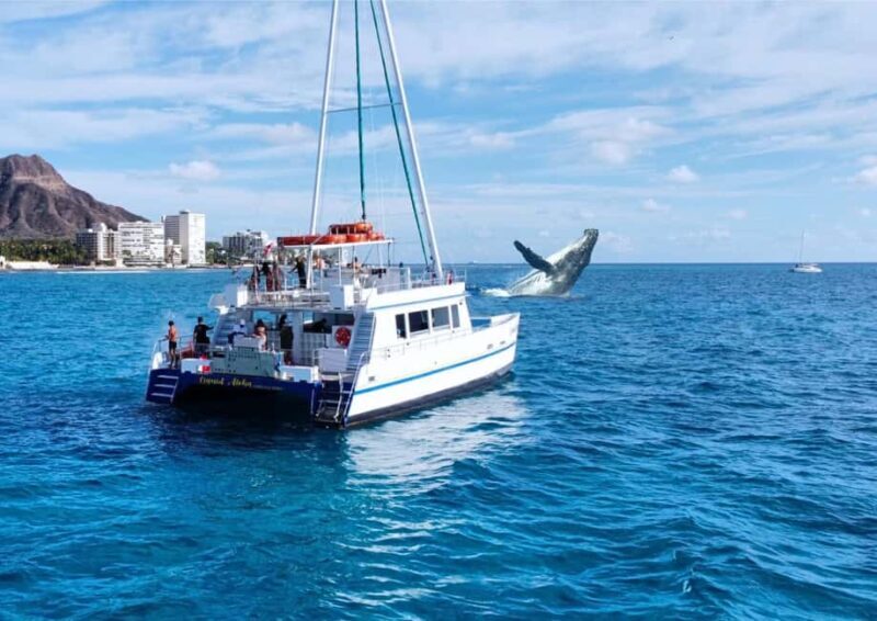 Oahu: Waikiki Whale Watching Cruise - Value for Money
