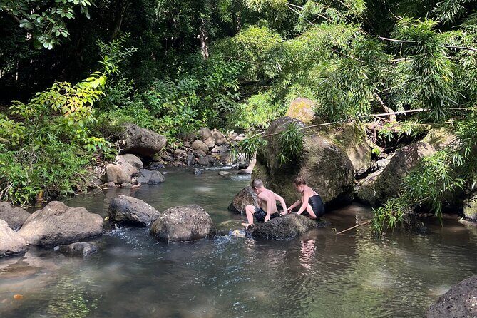 Oahu Waterfall Hike-Garden-Beach Road Trip, Waikiki to Lanikai - Judd Trail: Light Hiking with Rewarding Views