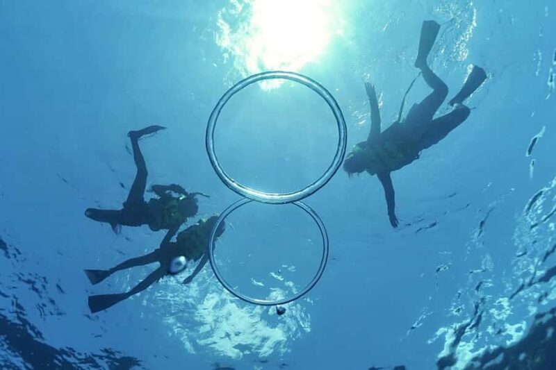 O'ahu West Coast Whale Watching and Turtle Snorkeling - Key Points