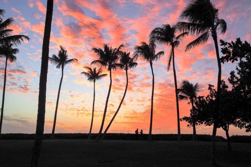 Oahu: West Oahu Sunset Cruise with Cocktails and Appetizers - Oahu: West Oahu Sunset Cruise with Cocktails and Appetizers – A Detailed Review