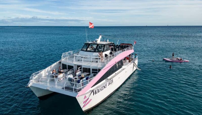 Oahu: Whale Watching Catamaran Tour near Waikiki - An Informed Look at the Oahu Whale Watching Experience