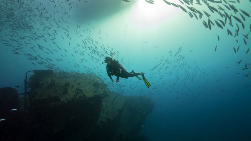 Oahu: Wreck & Reef Scuba Dive for Certified Divers - Who Will Love This Experience?