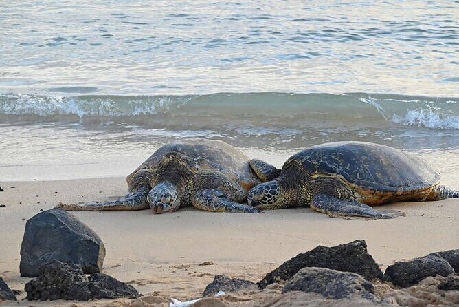 Oahu's Cheapest Circle Island Tour - The Value Equation