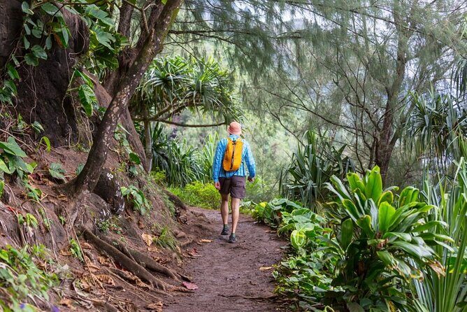 Oahu's North Shore Self-Guided Audio Tour - Exploring Oahu’s North Shore with a Self-Guided Audio Tour