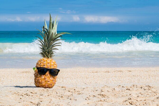 Oahu's Ultimate Grand Circle Island Tour with Snorkeling and More - Practical Insights