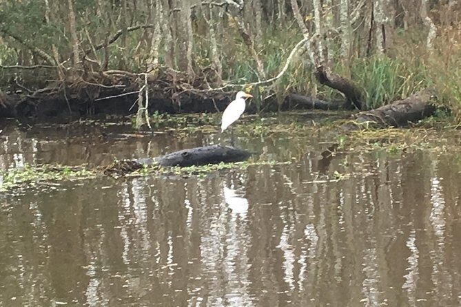 Oak Alley Plantation & Airboat Tours - FAQ