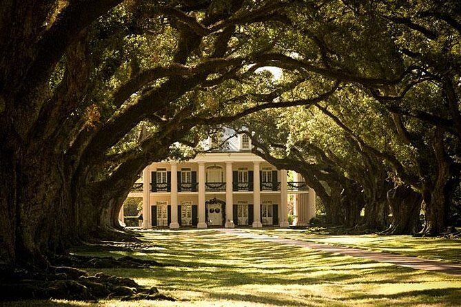 Oak Alley Plantation and Large Airboat Swamp Tour from New Orleans - An Introduction to the Tour Experience