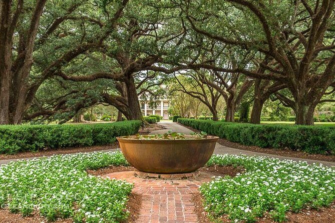 Oak Alley Plantation and Large Airboat Swamp Tour from New Orleans - Summarizing Who This Tour Is Best For
