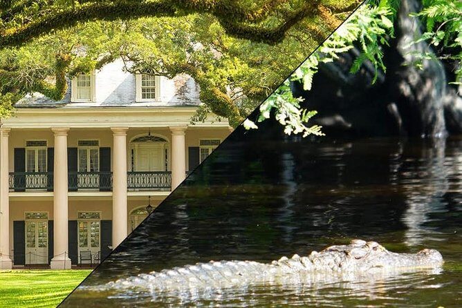 Oak Alley Plantation and Swamp Boat Tour from New Orleans - Introduction: What’s in Store with This Tour?