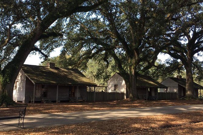 Oak Alley Plantation Tour with Transportation - Accessibility and Practicalities