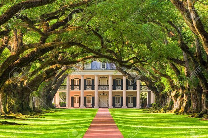 Oak Alley Private Tours - Key Points