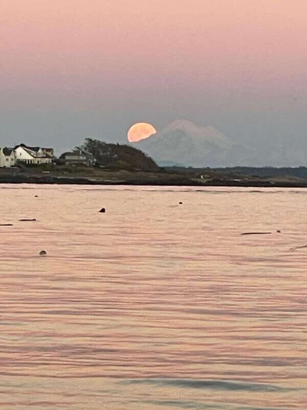 Oak Bay: Full Moon Paddle Experience - Why This Tour Works for You