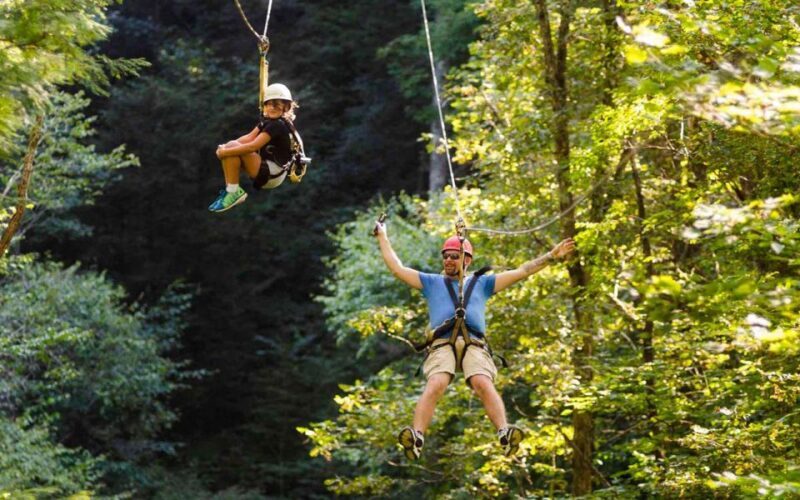 Oak Hill: Zipline Tour in New River Gorge National Park - What to Expect from the Oak Hill Zipline Experience
